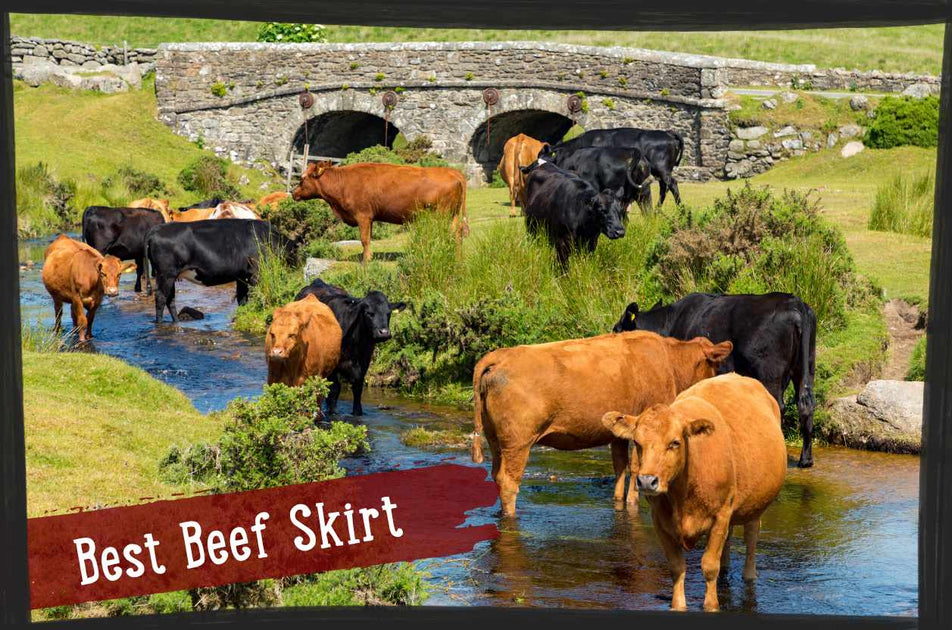 Meet our Meat - From Farm to Fork – Chunk of Devon